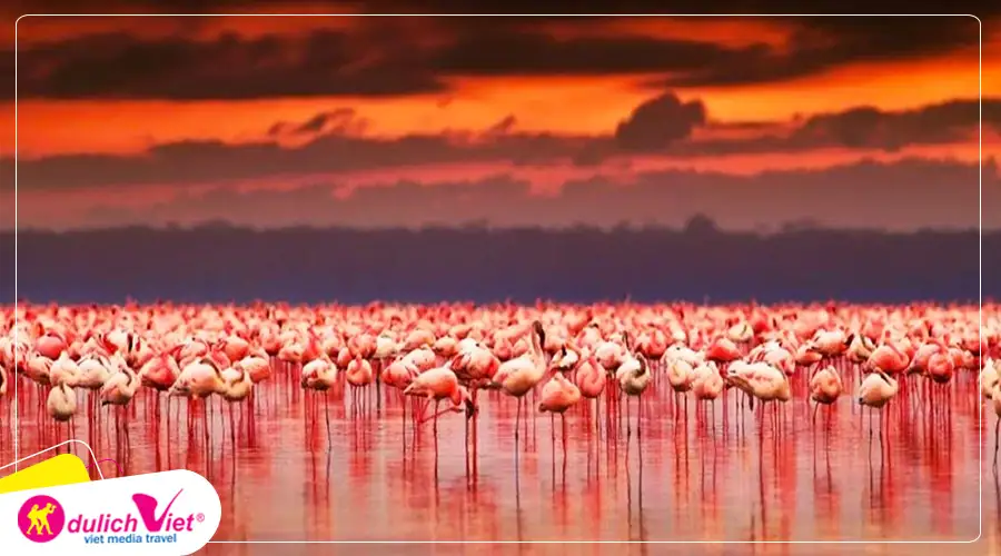 Tour Nam Phi mùa Thu 8N7Đ | Kenya - Ethiopia